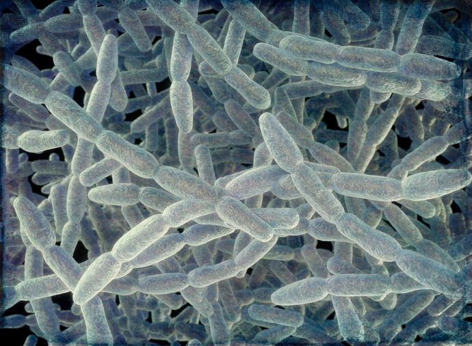 Legionnaires' Disease & Pontiac Fever - Florida Department of Health