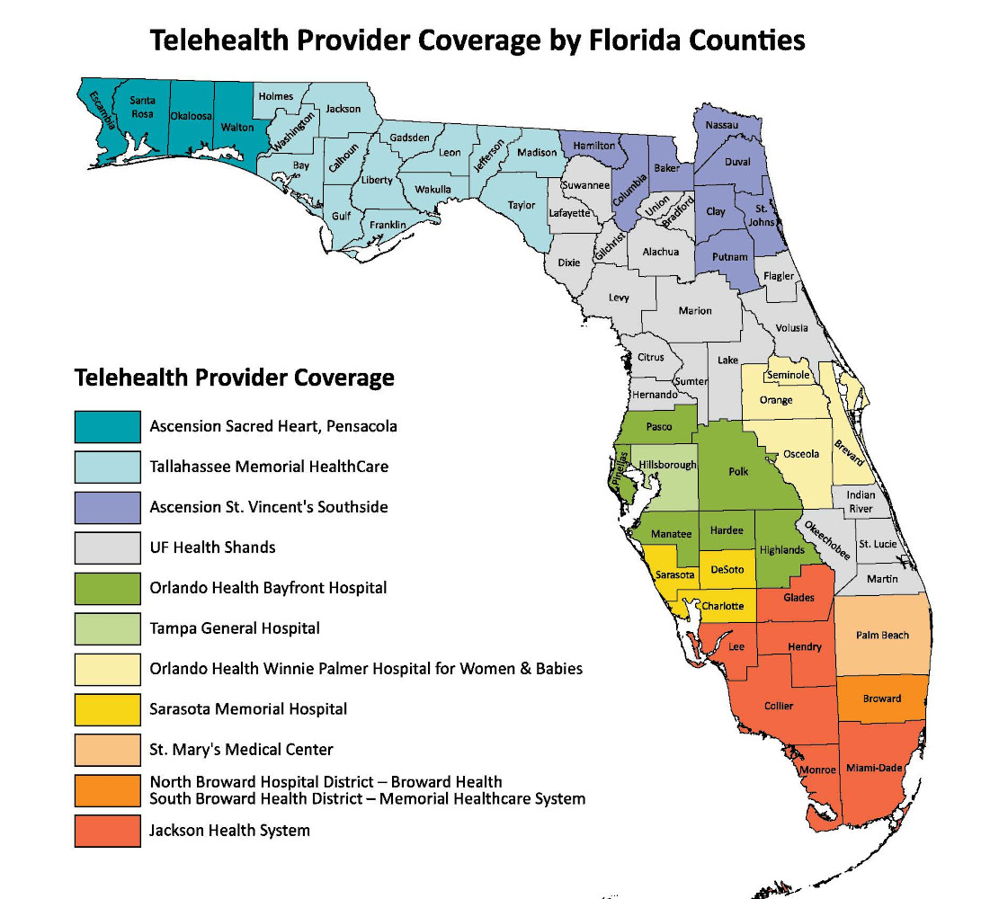 Telehealth Maternity Care - Florida Department of Health